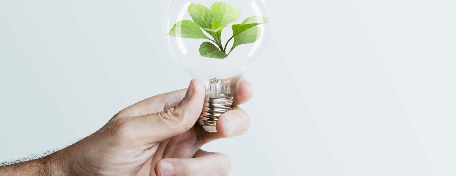 Qui sommes-nous ? - Énergies Métropole